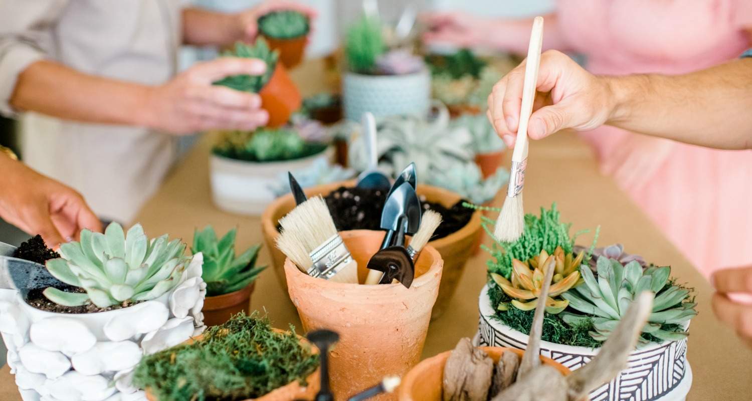 Private Potting Workshops - The Coastal Succulent